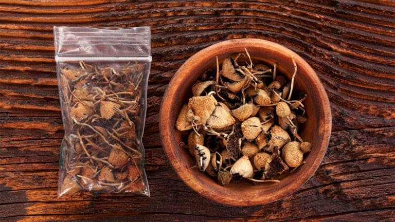 Psilocybin Guide: Benefits, Side Effects, Dosage & Practical Tips