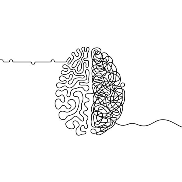 How do psychedelics affect the default mode network?